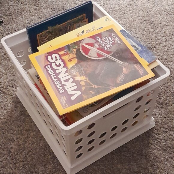 Other | Bin Of Childrens Books Bin Included White Hard Plastic Bin With ...